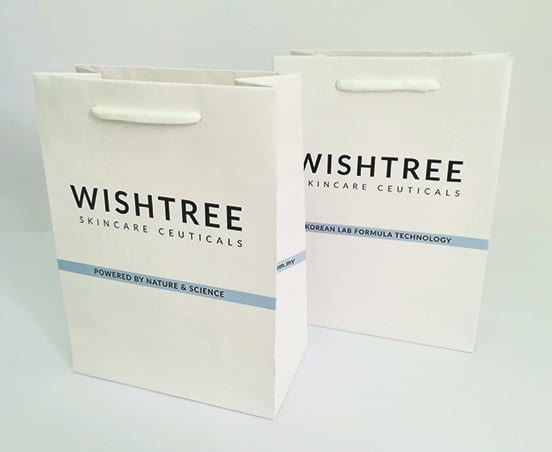 Paper Bag - Infocus Printing Sdn Bhd