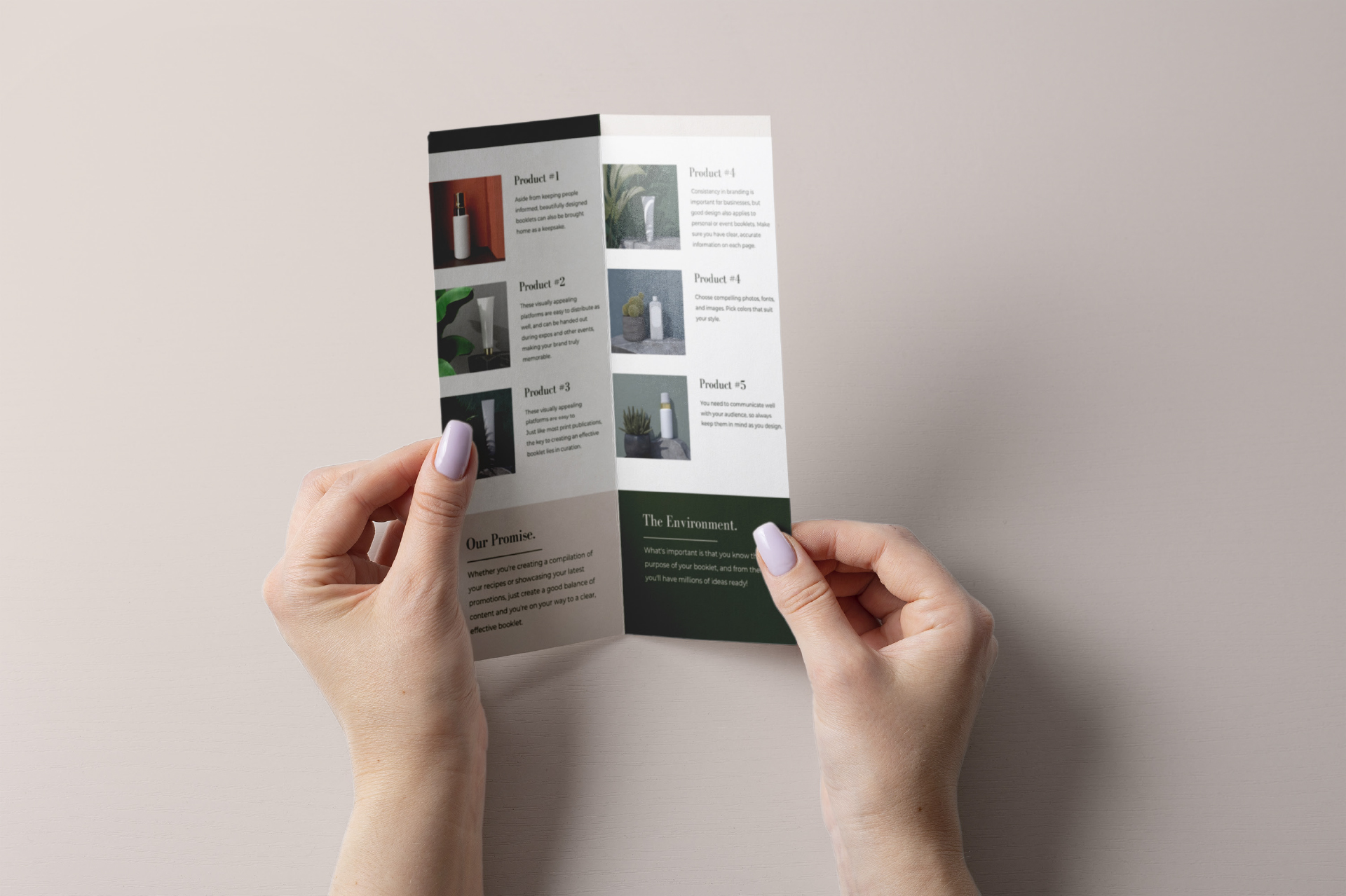DL Folded Brochure