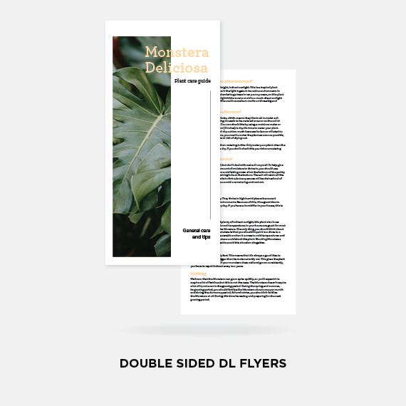 Flyers